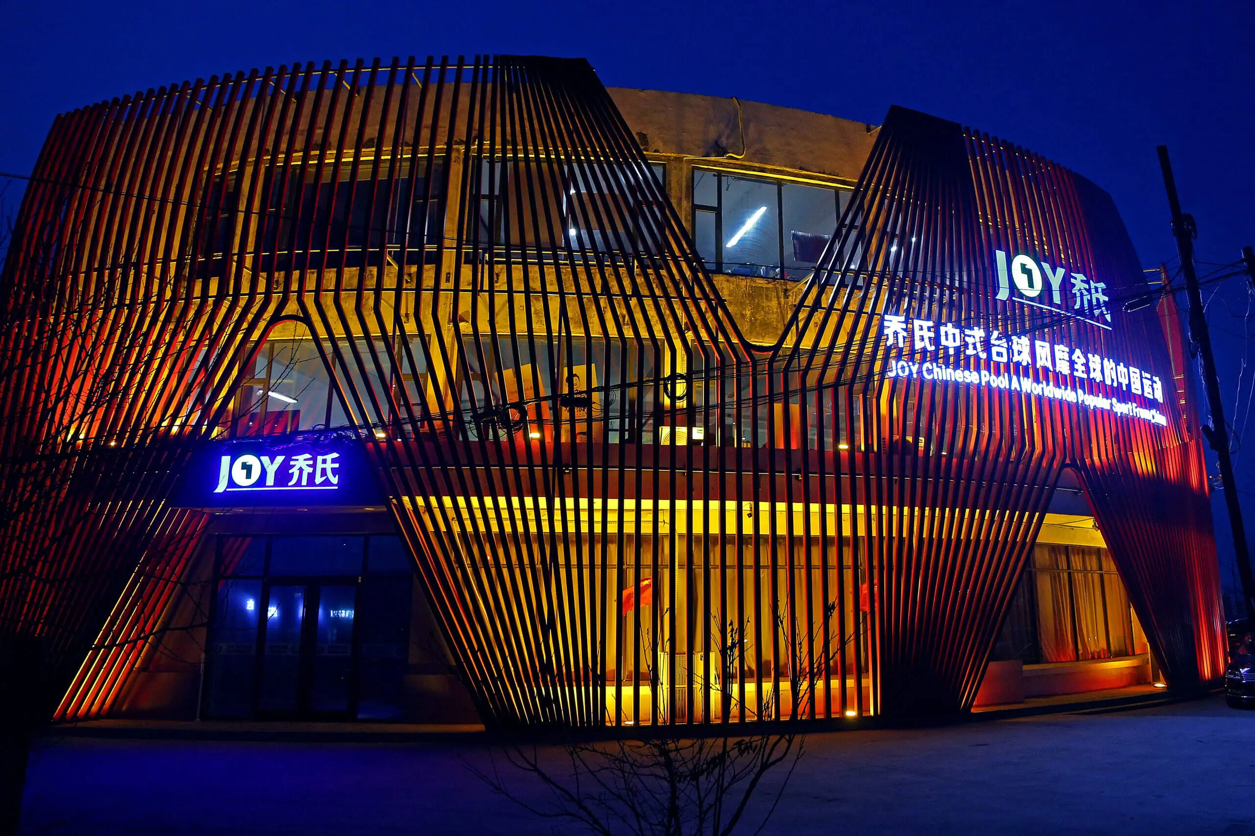 JOY Billiards – Platinum Fund Partner – WCBS World Confederation of ...